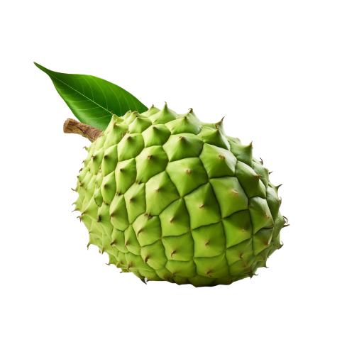 Products - KLTfruits